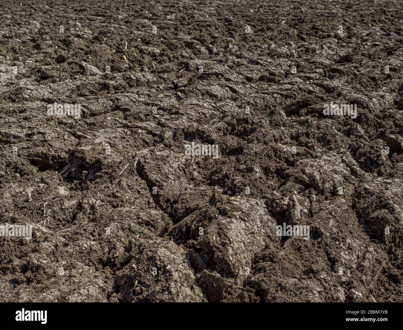 Freshly plowed field in spring, Bavaria, Germany, Europe Stock Photo ...