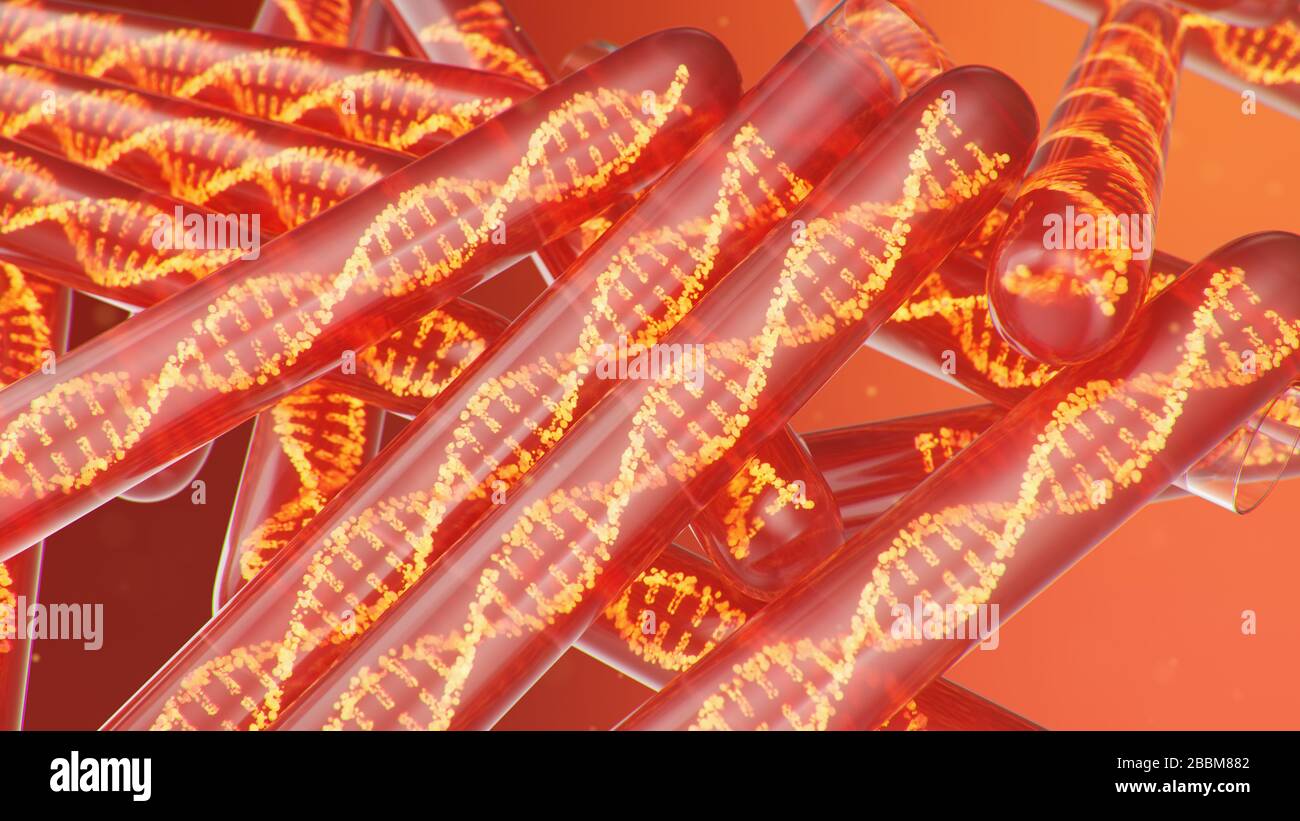 DNA molecule, its structure. Concept human genome. DNA molecule with ...