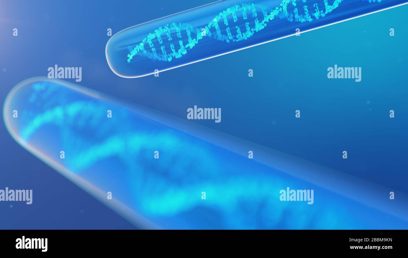 DNA molecule, its structure. Concept human genome. DNA molecule with ...