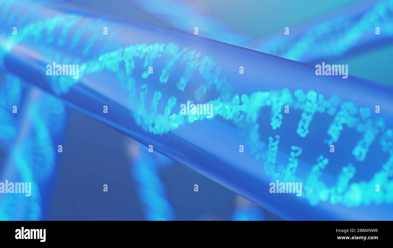 Human Dna Under Microscope