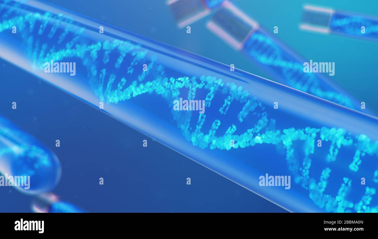 3D Illustration DNA molecule, its structure. Concept human genome. DNA ...