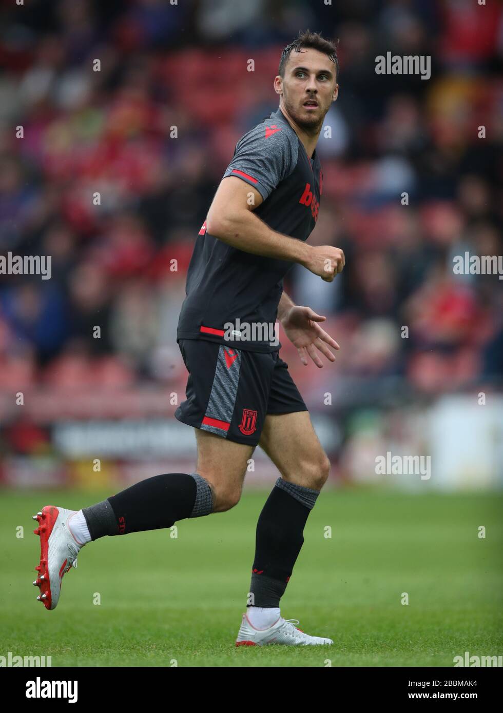 Stoke City's Lee Gregory Stock Photo - Alamy