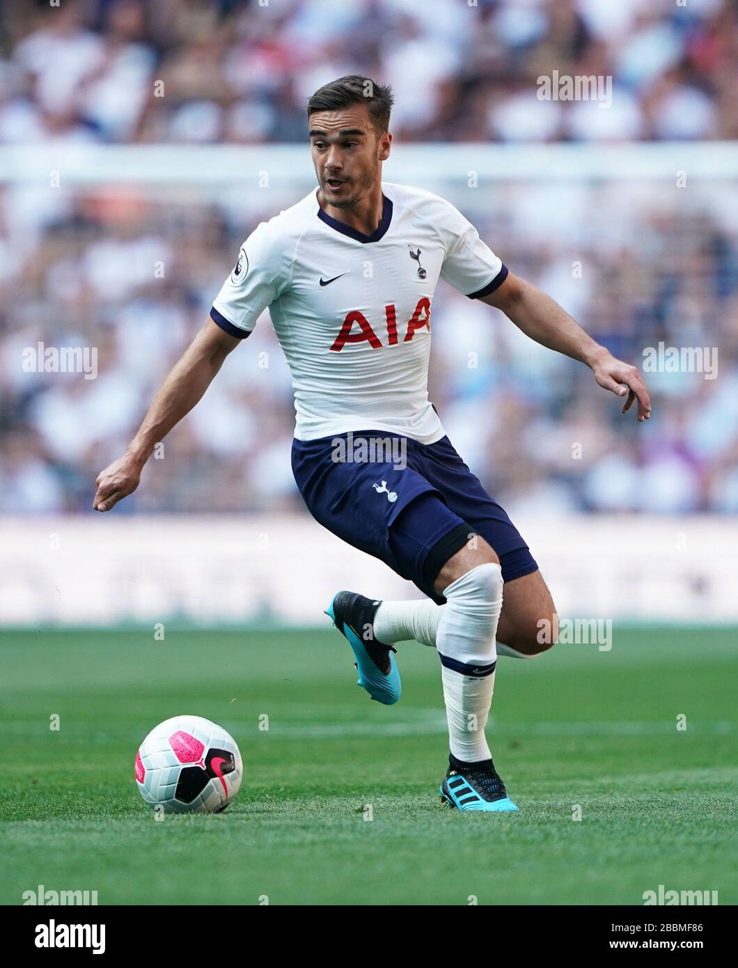 Tottenham Hotspur's Harry Winks Stock Photo - Alamy