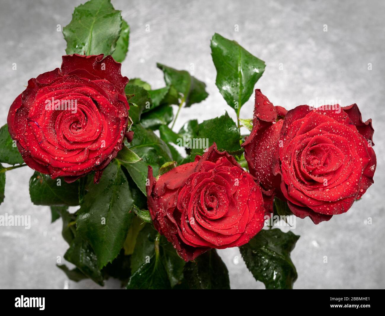 High top view angle of three red roses Stock Photo - Alamy