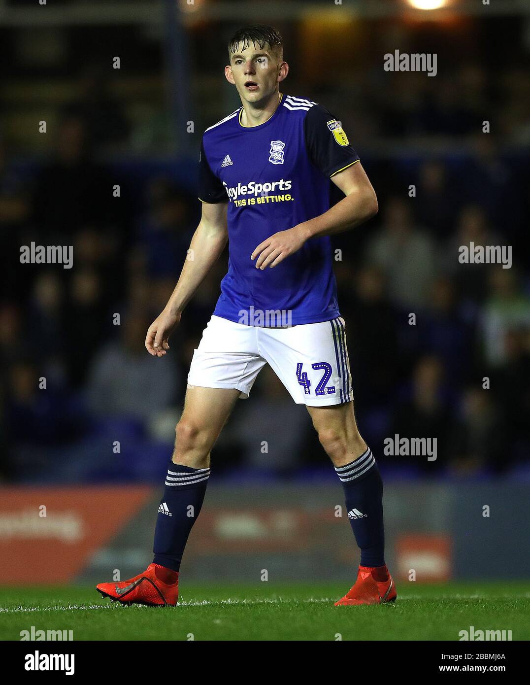 Steve seddon birmingham hi-res stock photography and images - Alamy