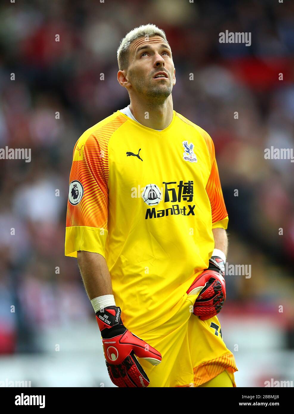 Guaita crystal palace hi-res stock photography and images - Alamy
