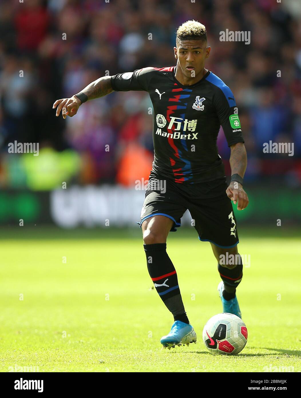 Patrick van Aanholt, Crystal Palace Stock Photo - Alamy