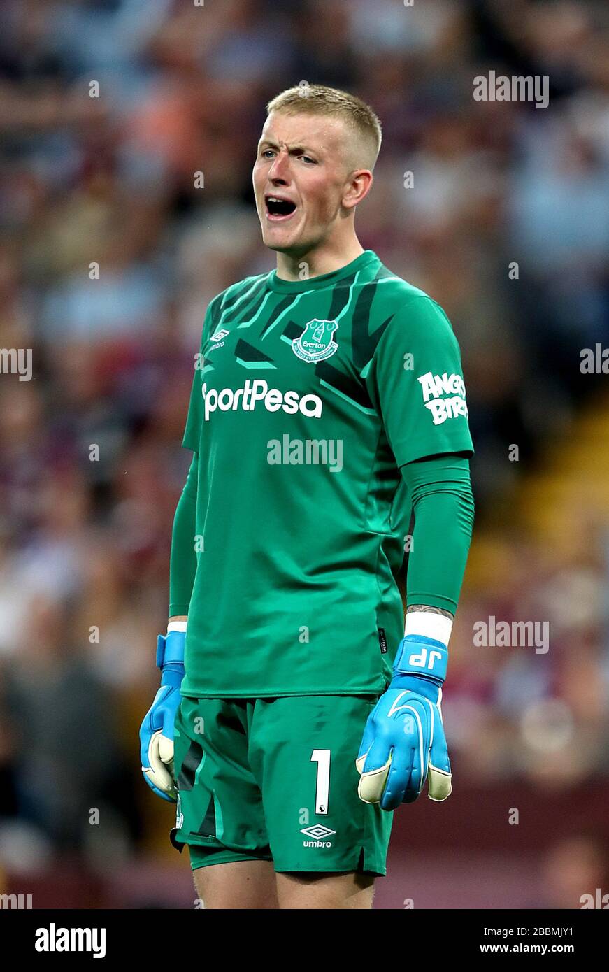 Everton goalkeeper Jordan Pickford Stock Photo - Alamy