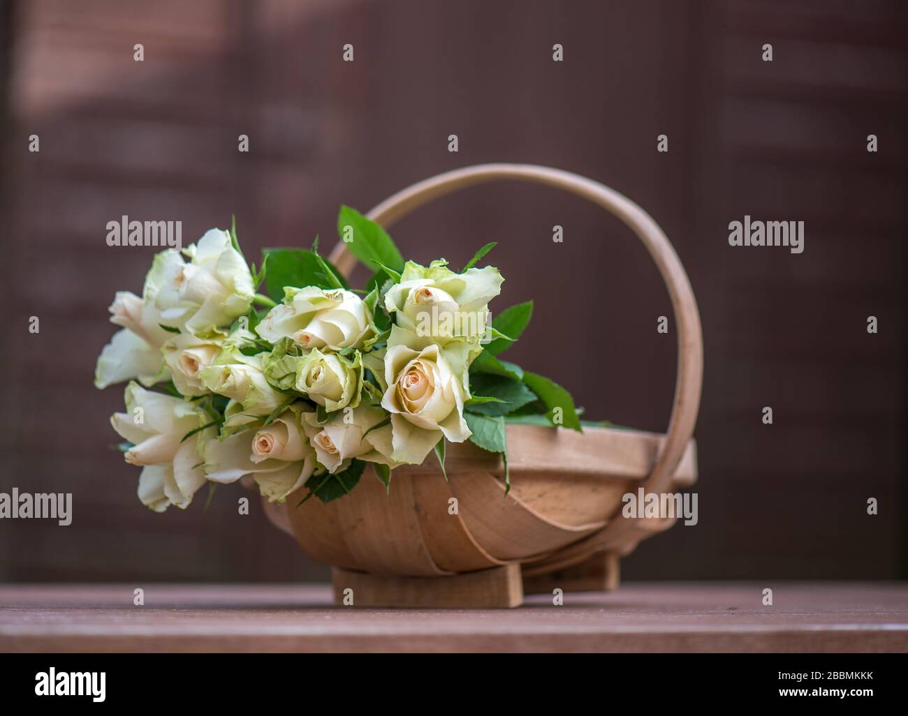 Country Cottage Roses High Resolution Stock Photography and Images - Alamy