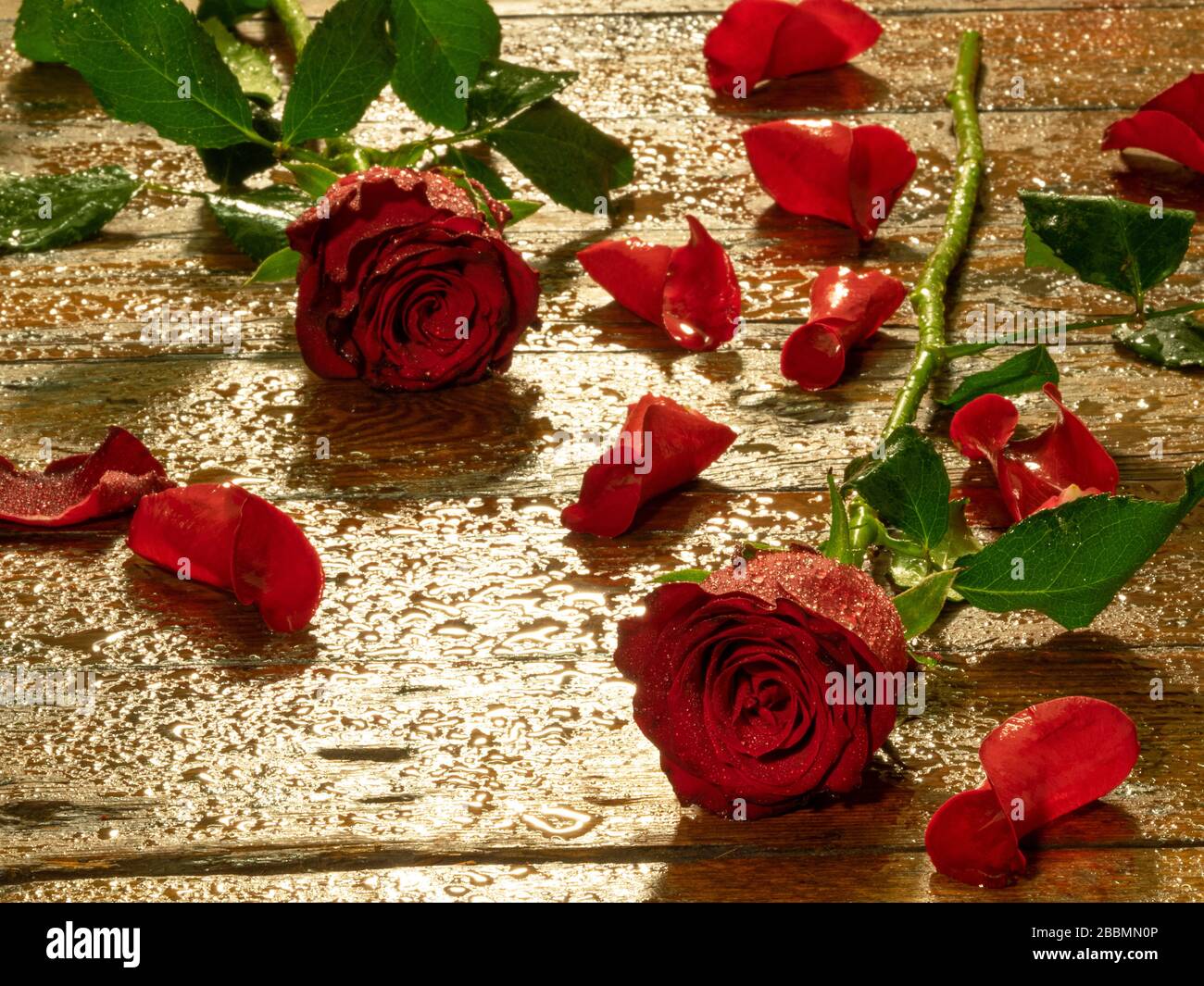 Rose petals on wooden floor hi-res stock photography and images - Alamy