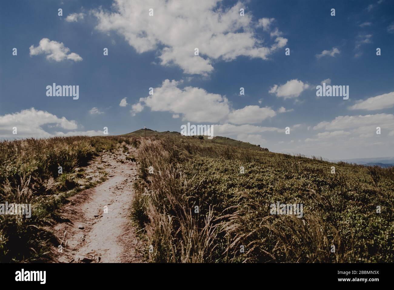 The road from Mieczysław Orłowicz Pass to Smerek Peak in the Bieszczady ...