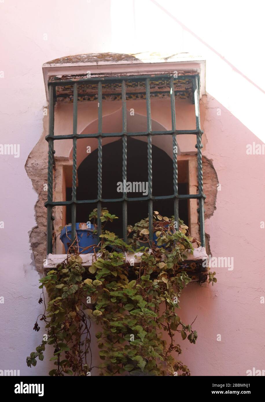 Spanish street scene. Traditional attractive windowsill. Plants ...