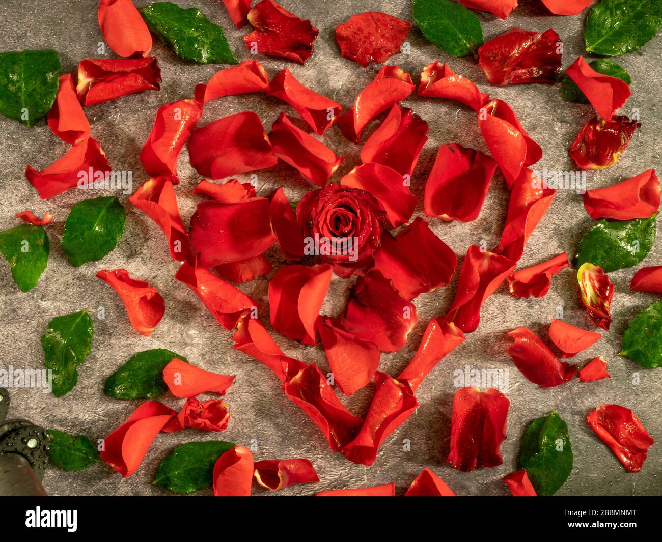 Angle shape flower hi-res stock photography and images - Alamy