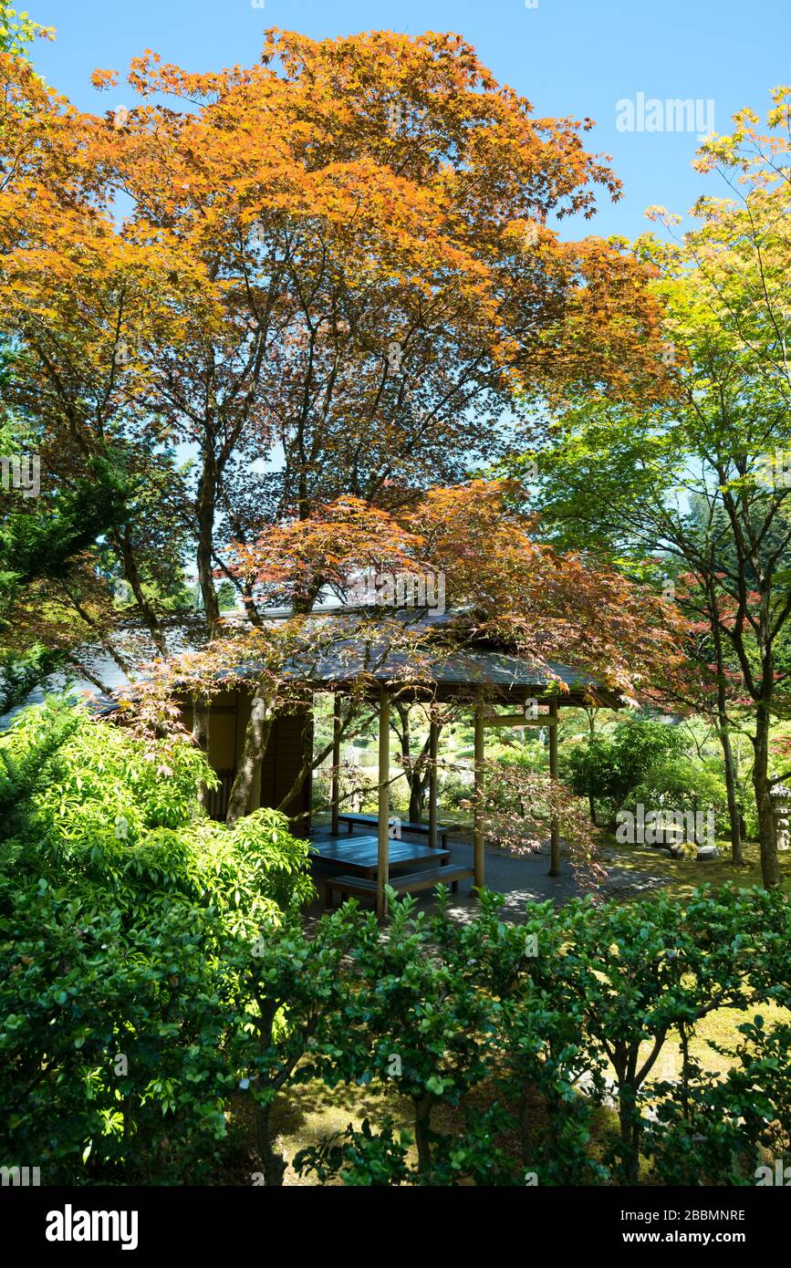 Japanese park bench hi-res stock photography and images - Alamy
