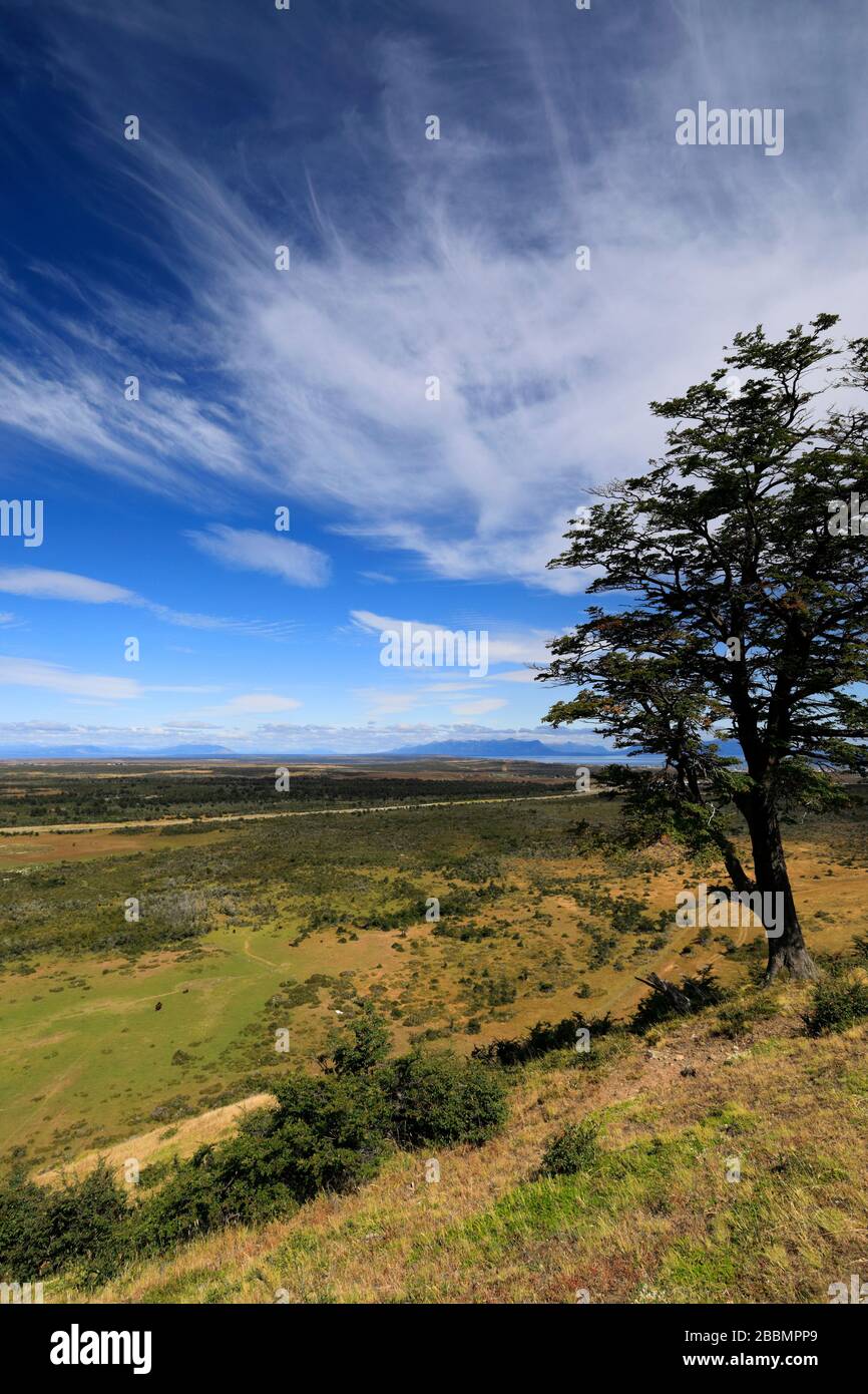 View over Mirador Cerro Dorotea, Puerto Natales city Patagonia, Chile ...