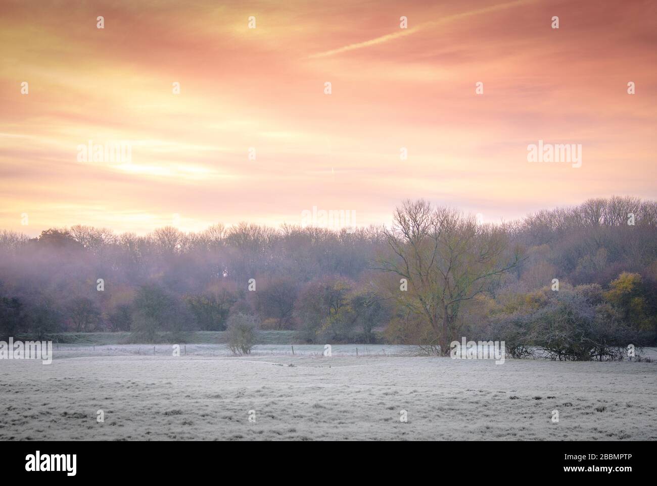Frost pocket hi-res stock photography and images - Alamy