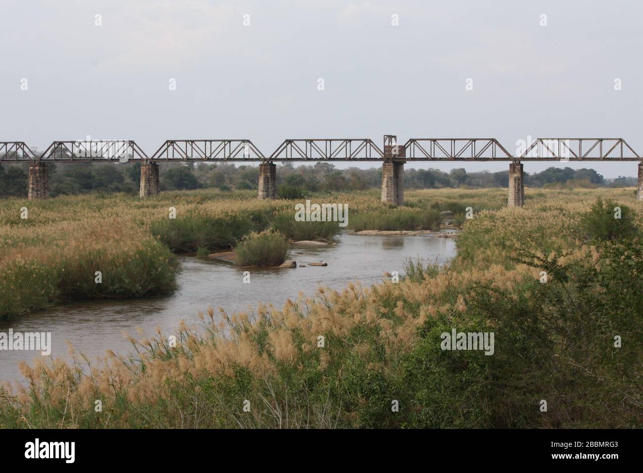 Bridge crossing in Kruger National Park, South Africa Stock Photo - Alamy