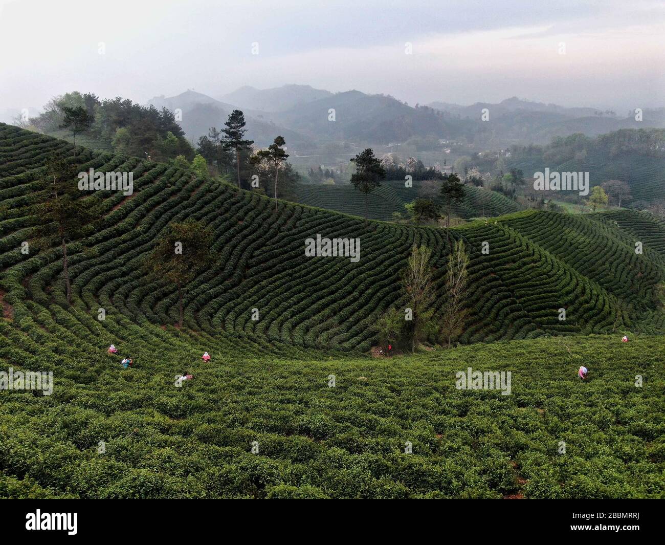 (200401) -- XINYANG, April 1, 2020 (Xinhua) -- Aerial photo shows ...