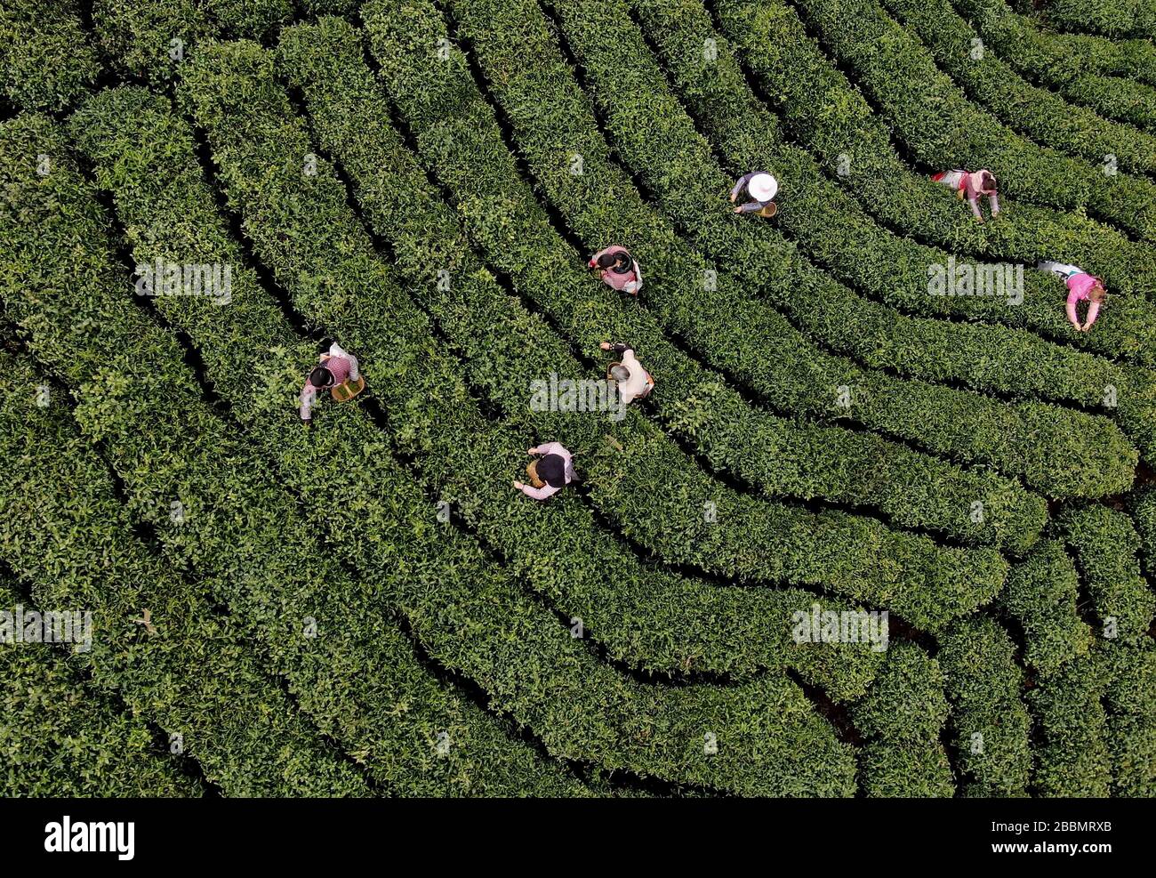 Xinyang, China's Henan Province. 1st Apr, 2020. Aerial photo shows ...
