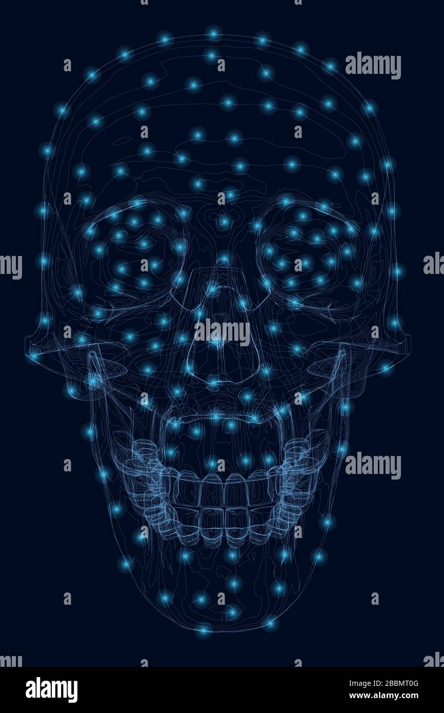 Wireframe of a human skull made of blue lines with luminous lights on a ...