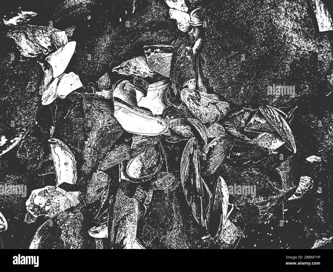 Oyster decor Stock Vector Images - Alamy