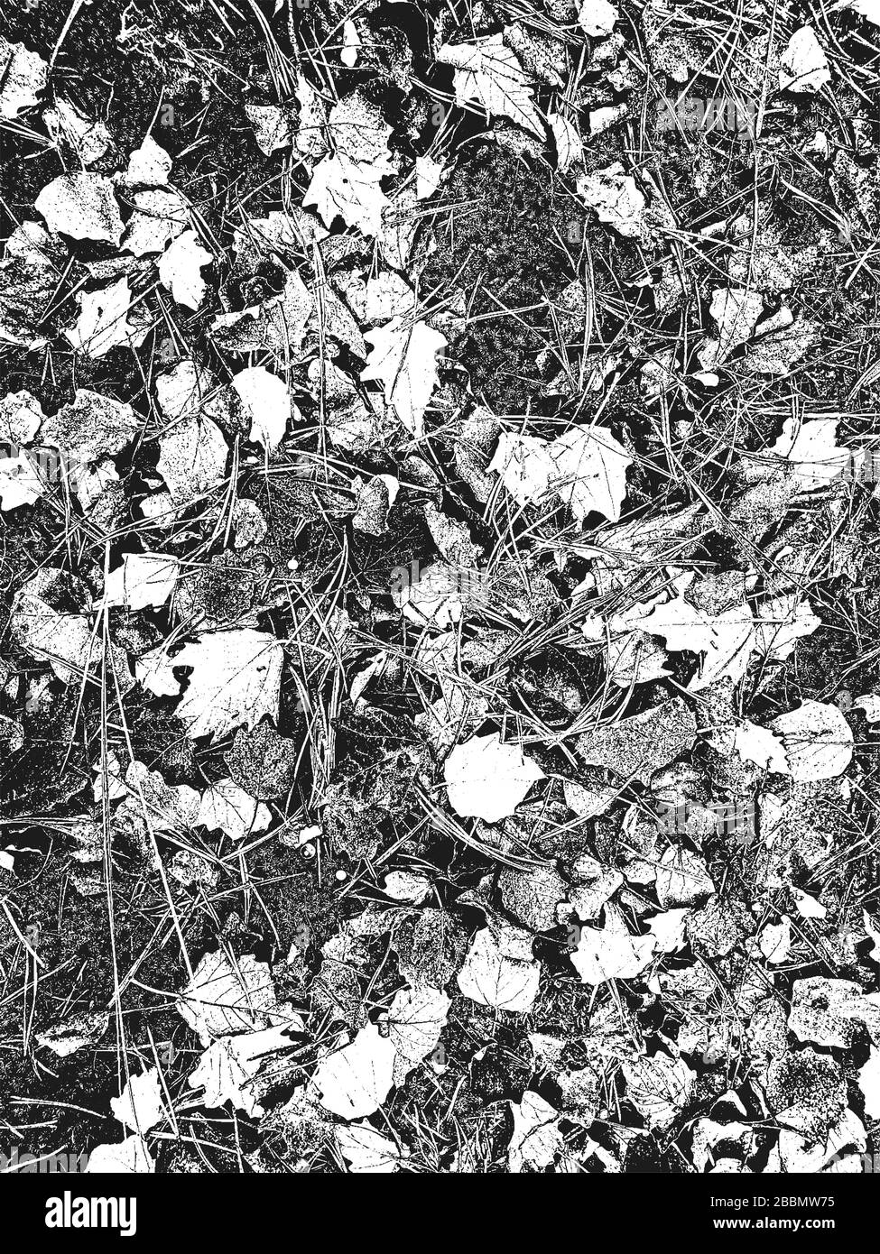 Timber cuttings Stock Vector Images - Alamy