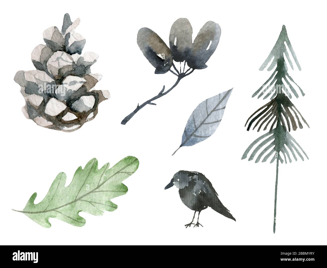 Baby oak tree hi-res stock photography and images - Alamy