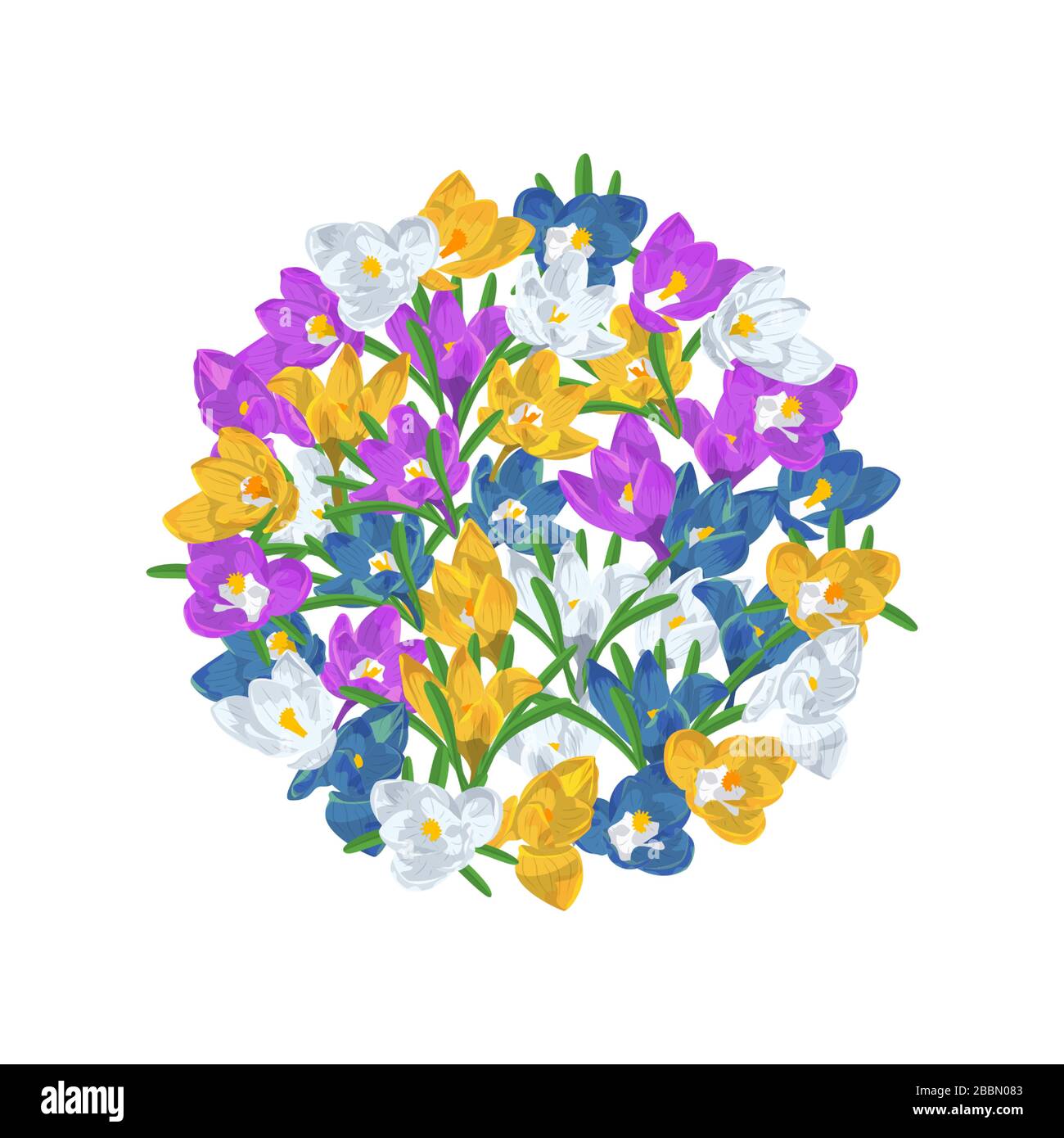 Hand drawn clorful crocus flowers round arrangement. Floral design ...