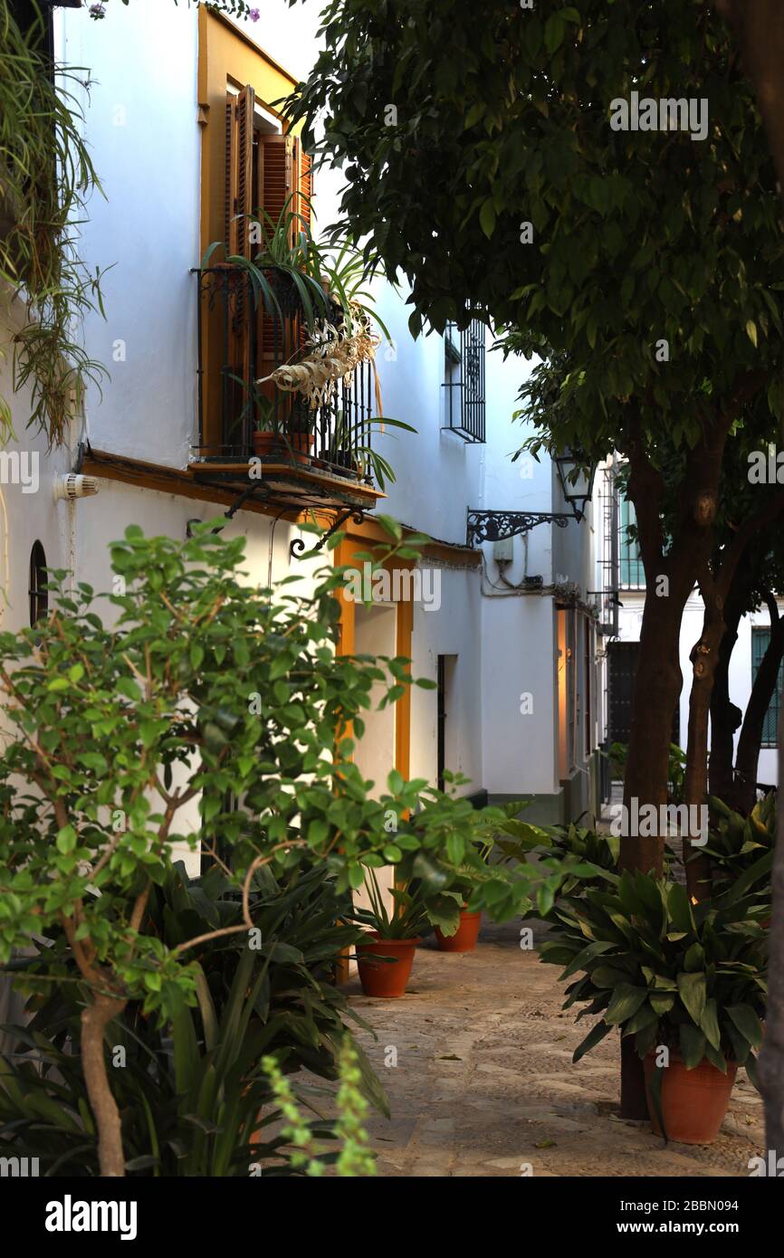Spanish street scene. Traditional attractive windows. Balconies. Plants ...