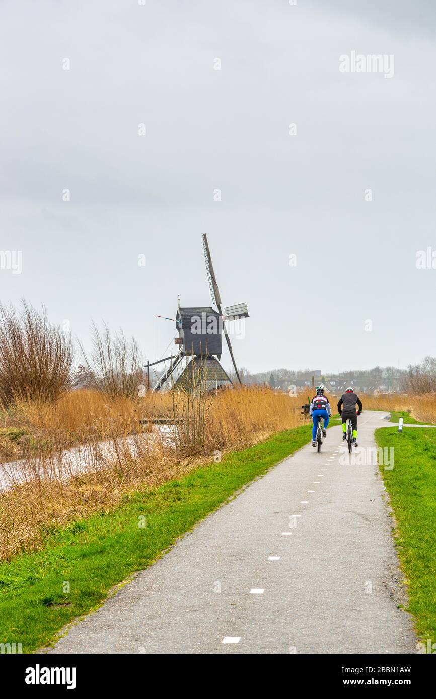 Windmills (wind-pumps) at Kinderdijk; a village in the the Netherlands ...
