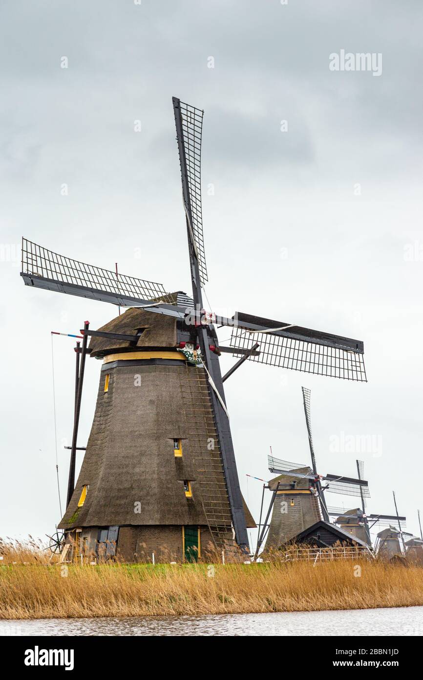 Windmills (wind-pumps) at Kinderdijk; a village in the the Netherlands ...