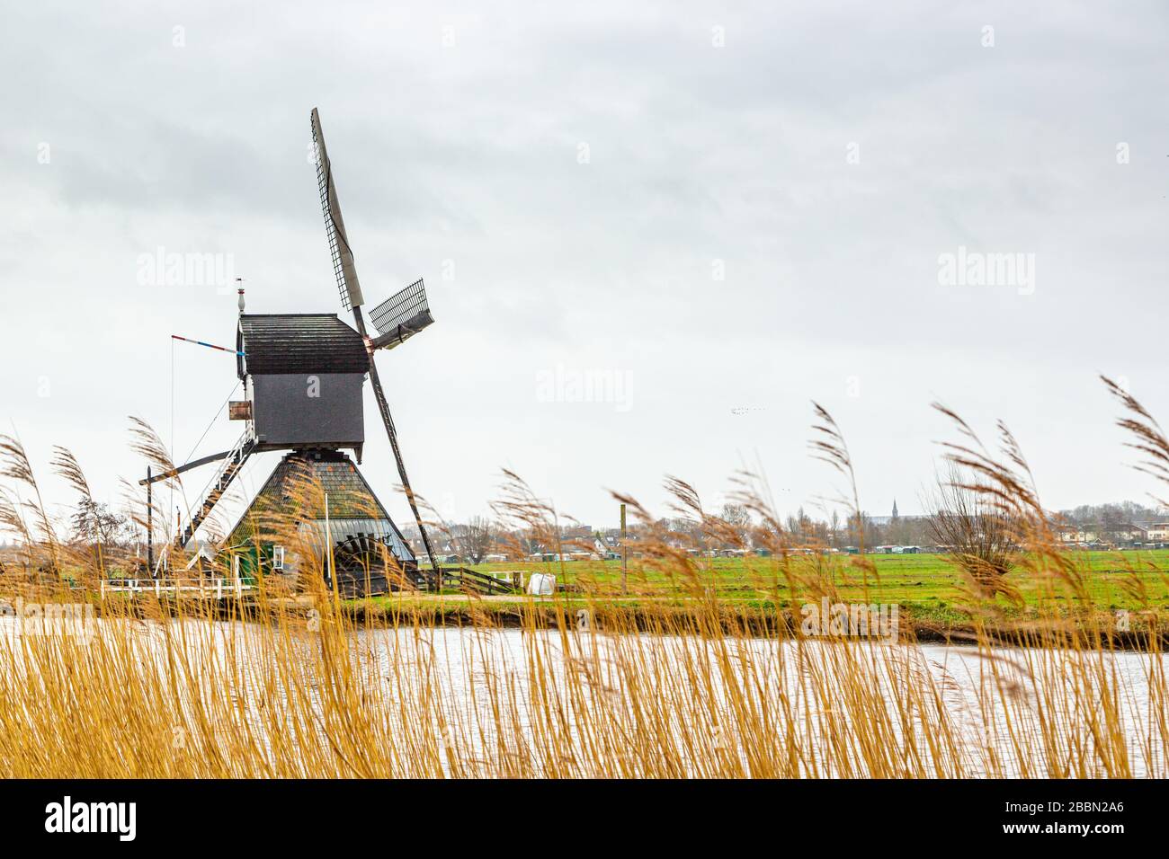 Windmills (wind-pumps) at Kinderdijk; a village in the the Netherlands ...
