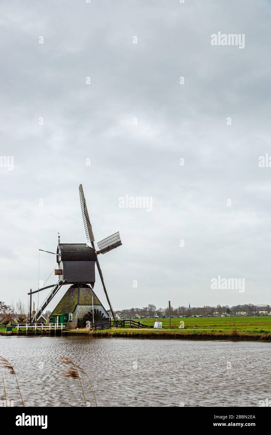 Windmills (wind-pumps) at Kinderdijk; a village in the the Netherlands ...