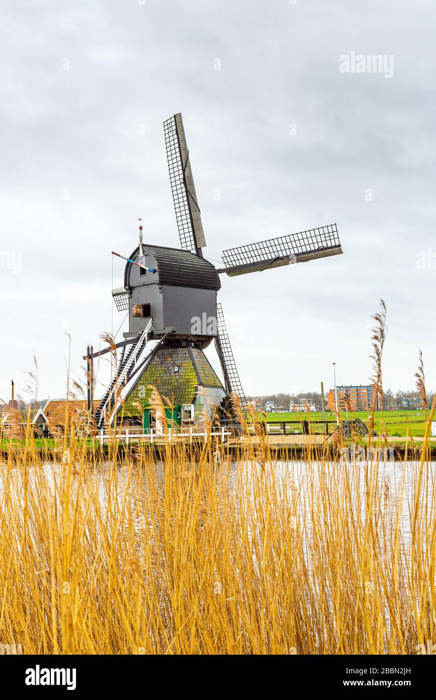 Windmills (wind-pumps) at Kinderdijk; a village in the the Netherlands ...