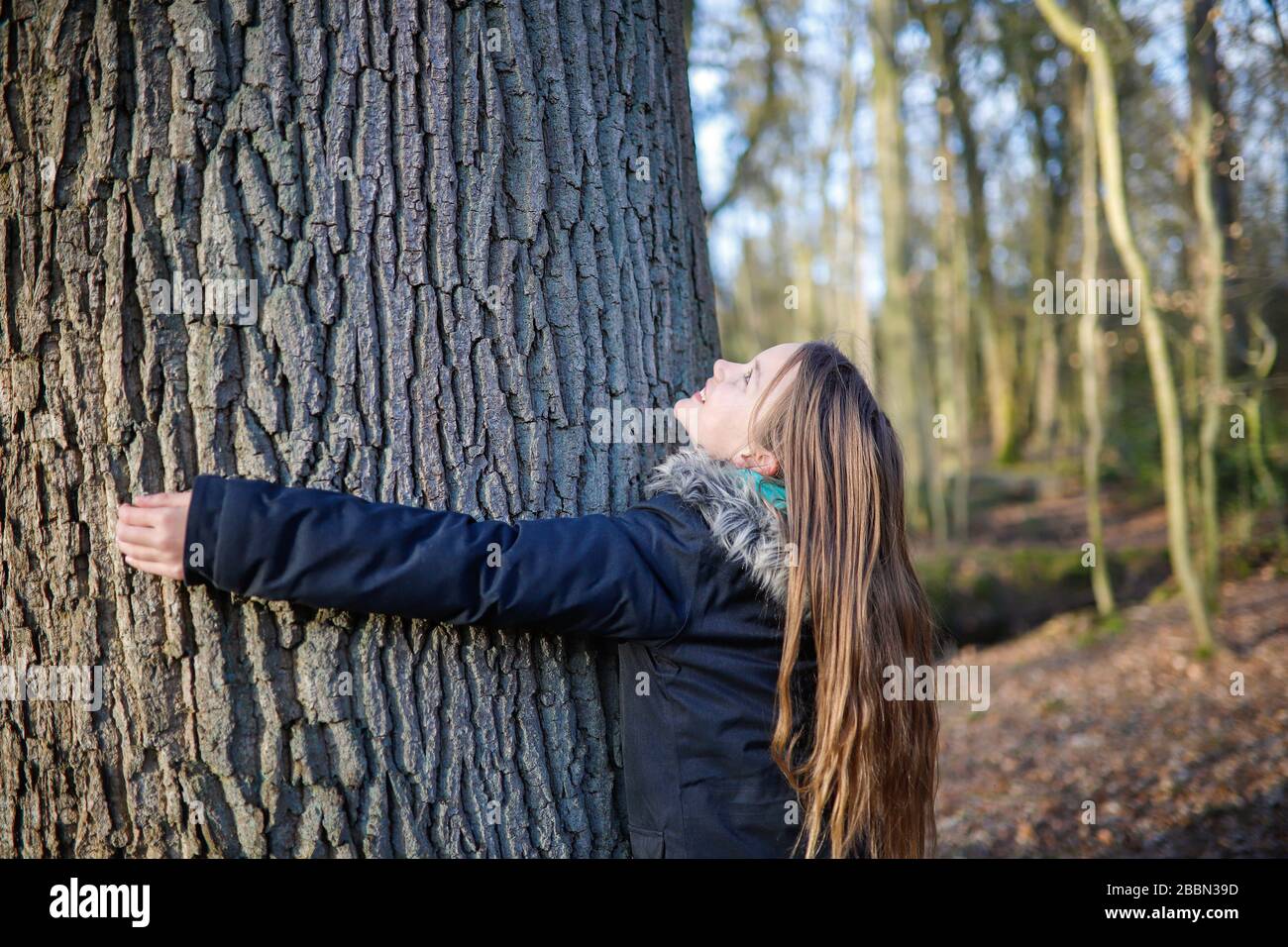 A 11 year old girl is embracing the trunk of a huge tree Stock Photo ...