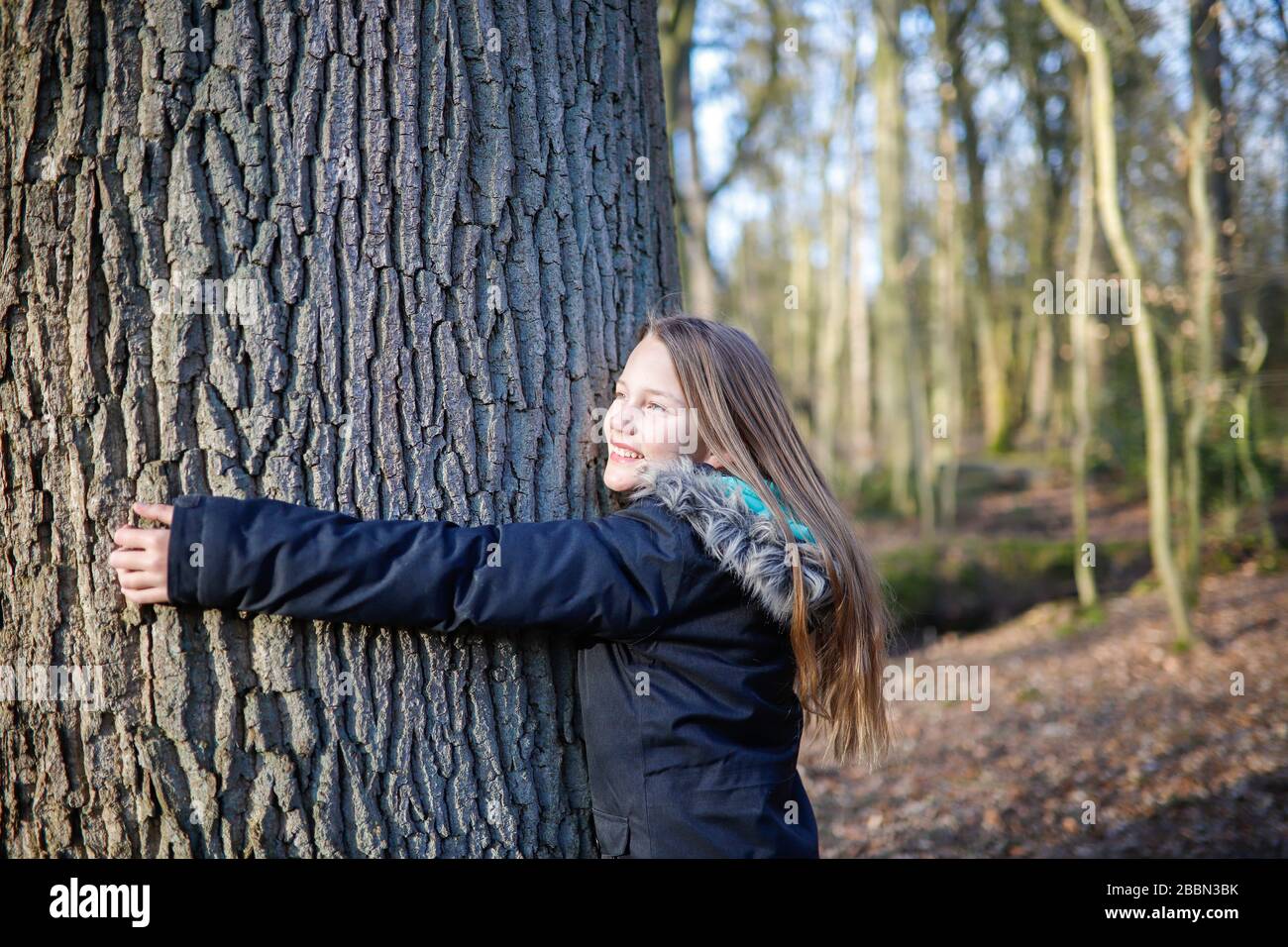 A 11 year old girl is embracing the trunk of a huge tree Stock Photo ...