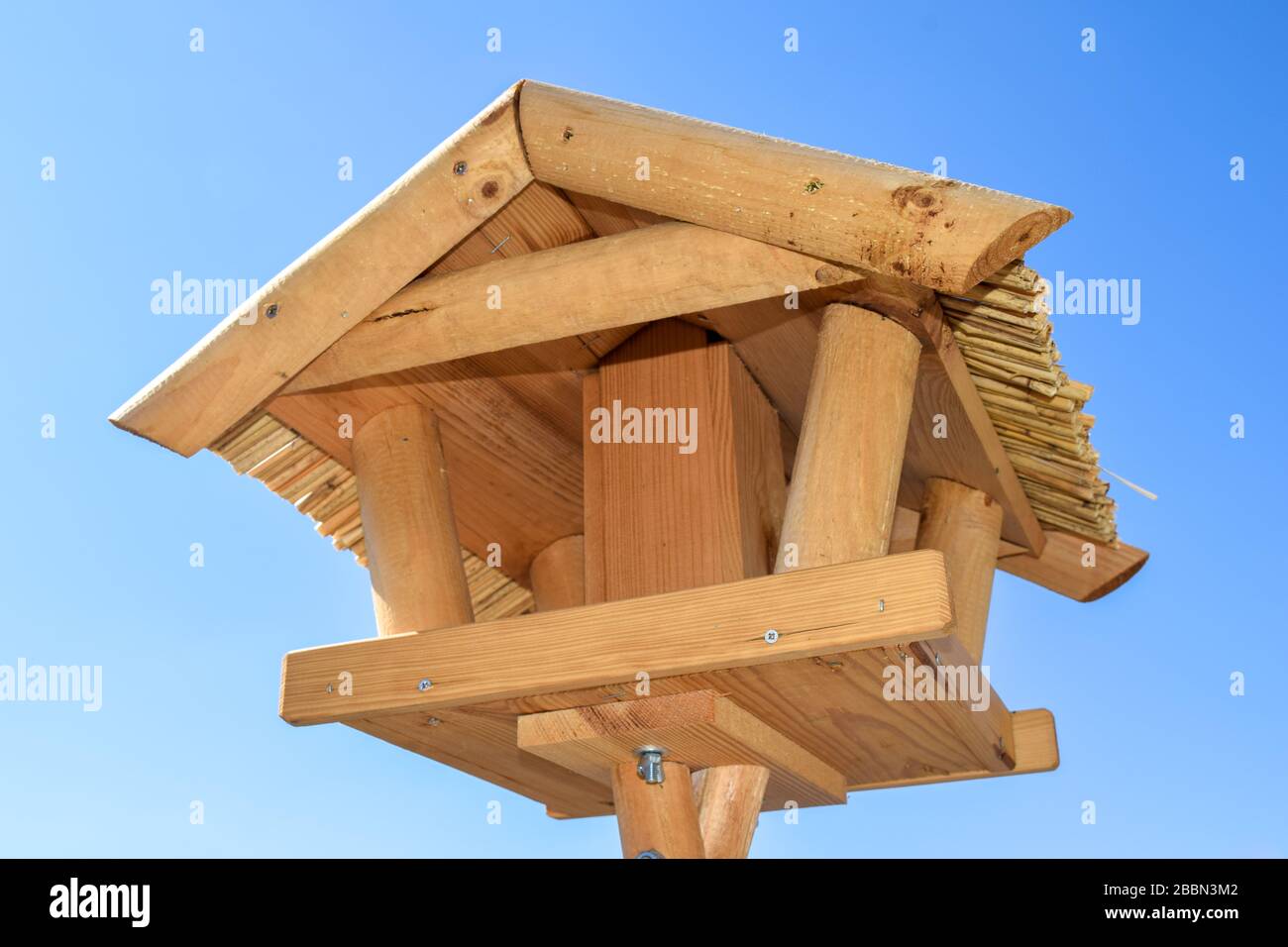Blue wren nest hi-res stock photography and images - Alamy