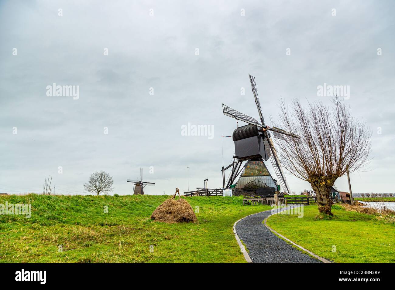 Windmills (wind-pumps) at Kinderdijk; a village in the the Netherlands ...