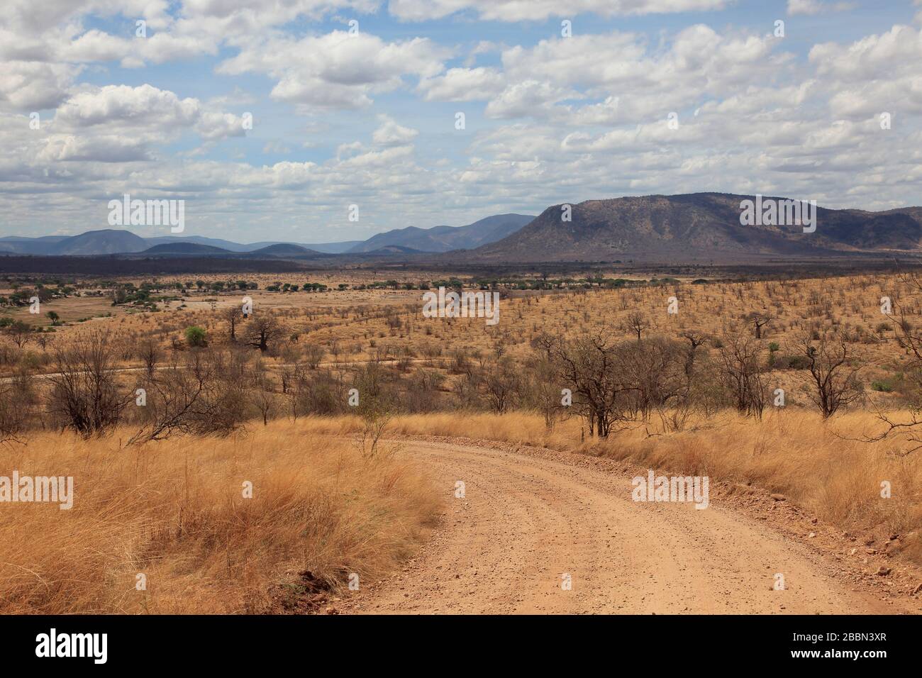 Scene of African plain in Tanzania Stock Photo - Alamy