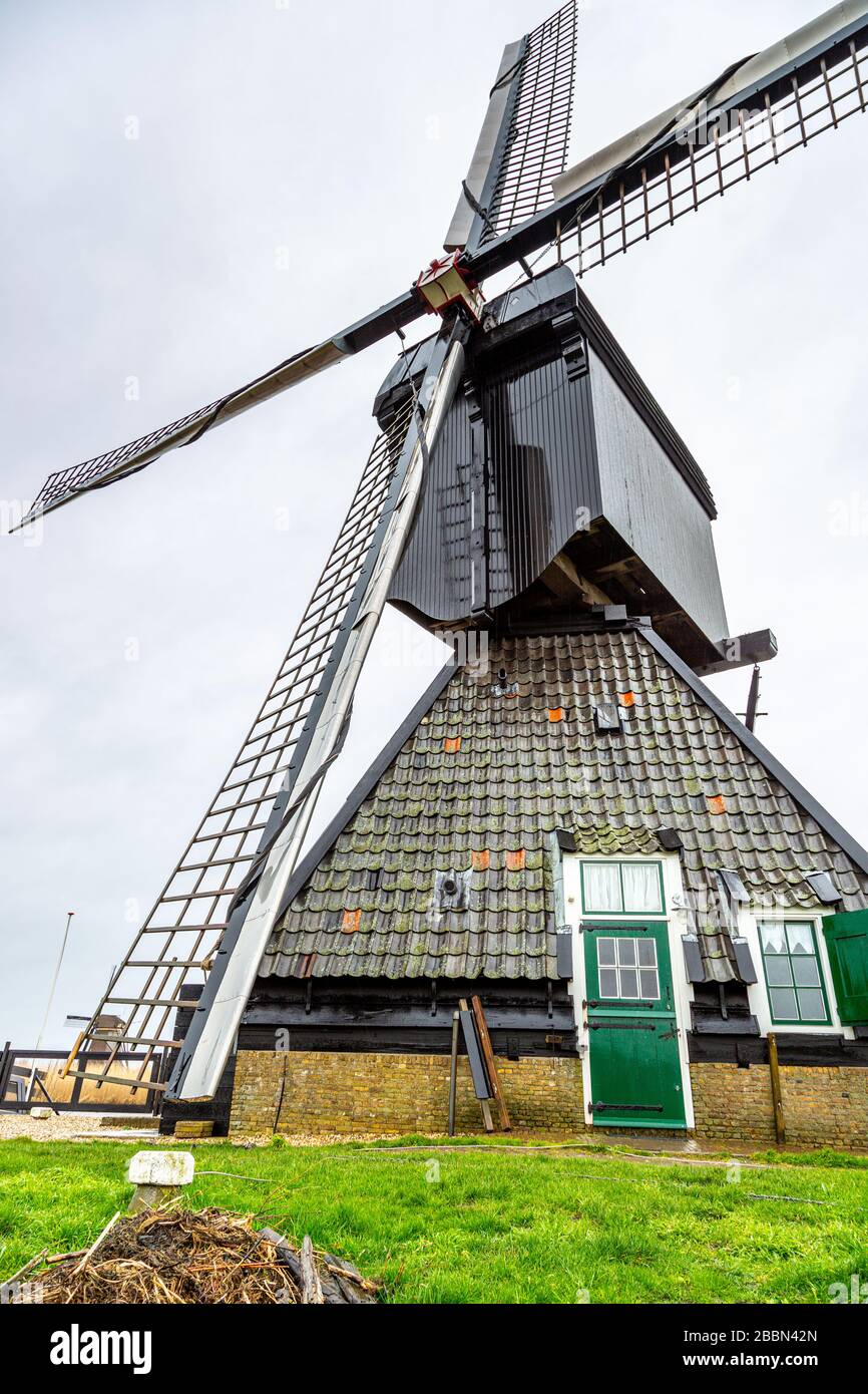 Windmills (wind-pumps) at Kinderdijk; a village in the the Netherlands ...