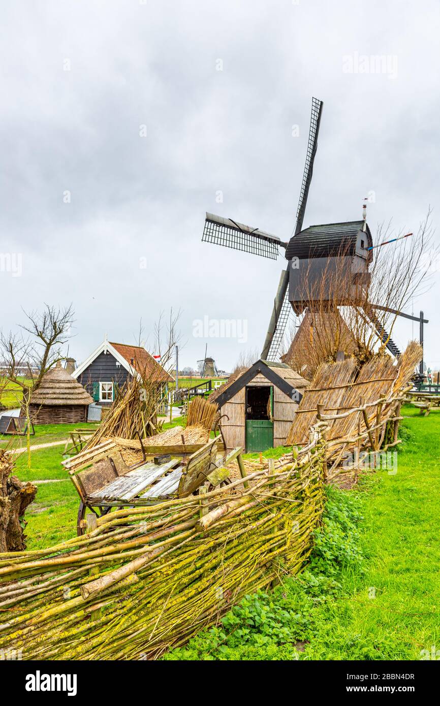 Windmills (wind-pumps) at Kinderdijk; a village in the the Netherlands ...