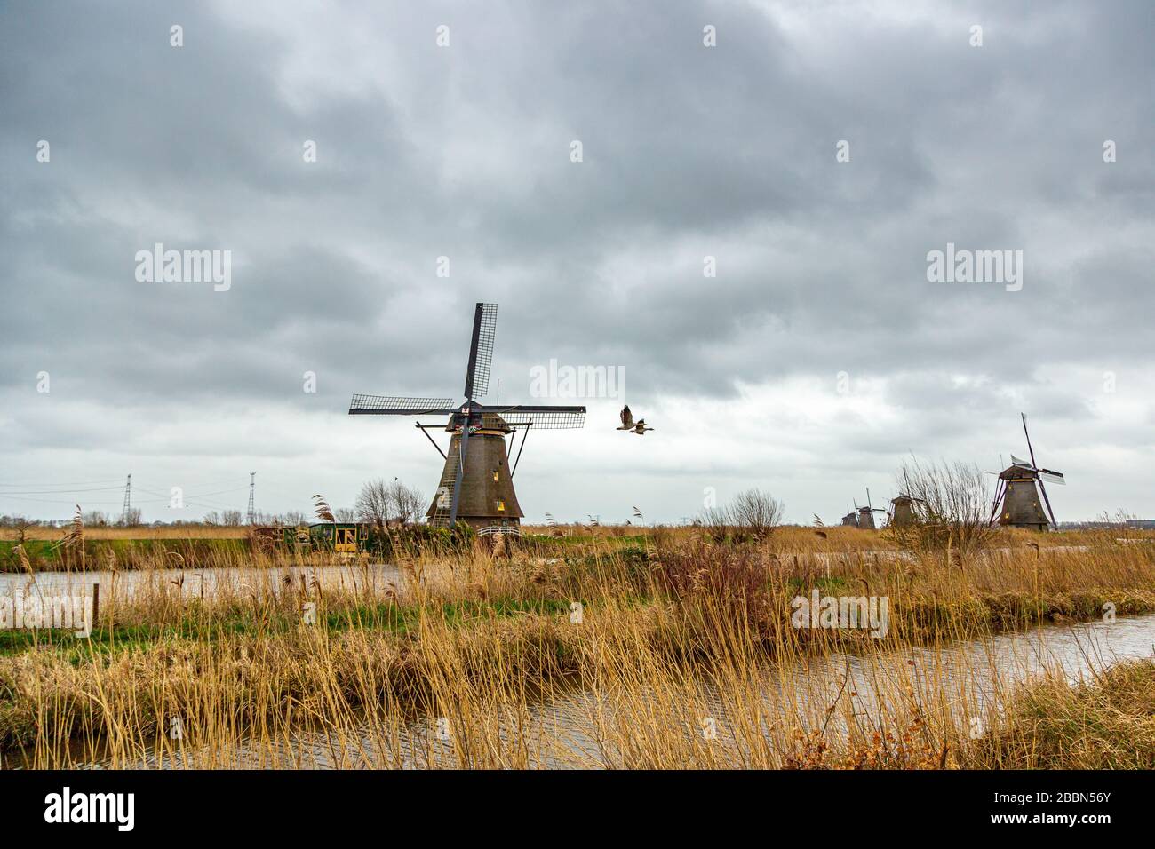Windmills (wind-pumps) at Kinderdijk; a village in the the Netherlands ...