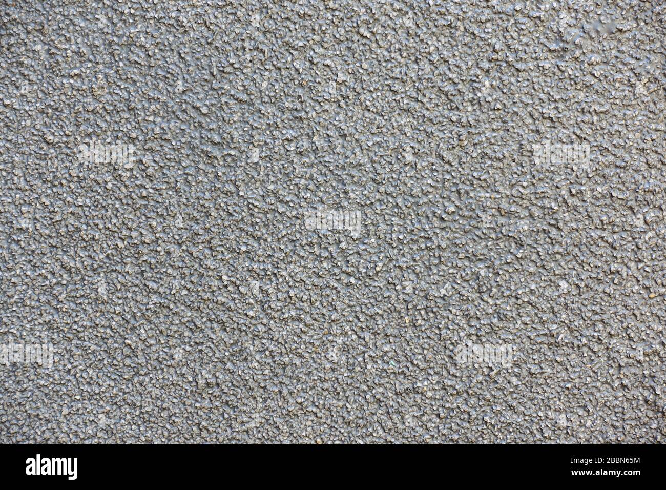 Stone chip rough textured wall painted grey Stock Photo - Alamy