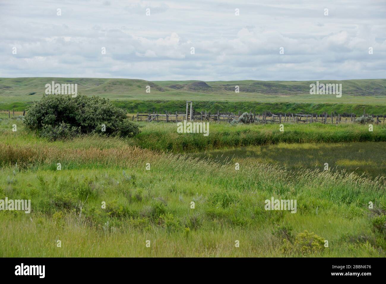Grasslands National Park in Saskatchewan Canada Stock Photo - Alamy