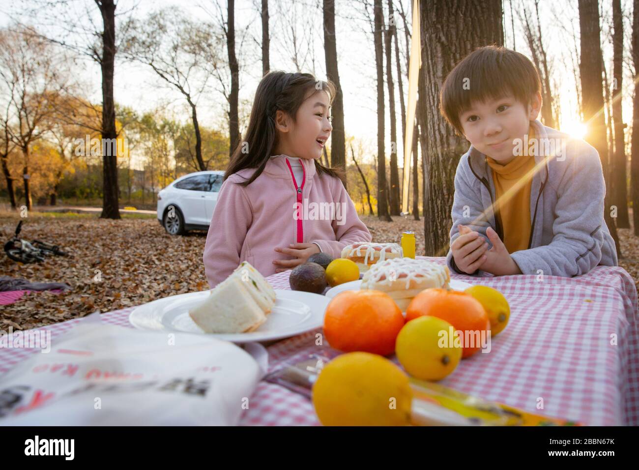 Child picnic hi-res stock photography and images - Alamy