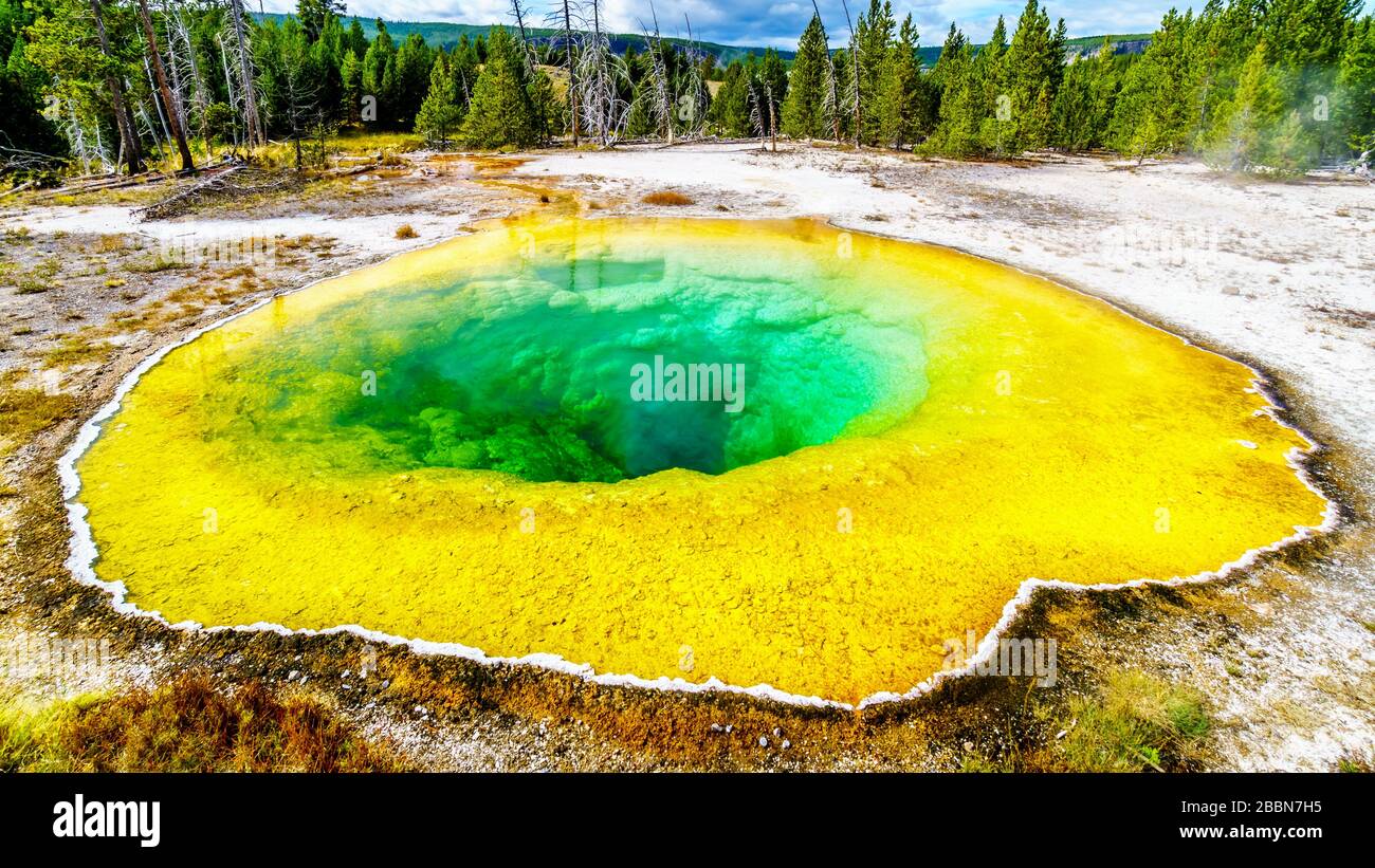 Green sulfur bacteria hi-res stock photography and images - Alamy