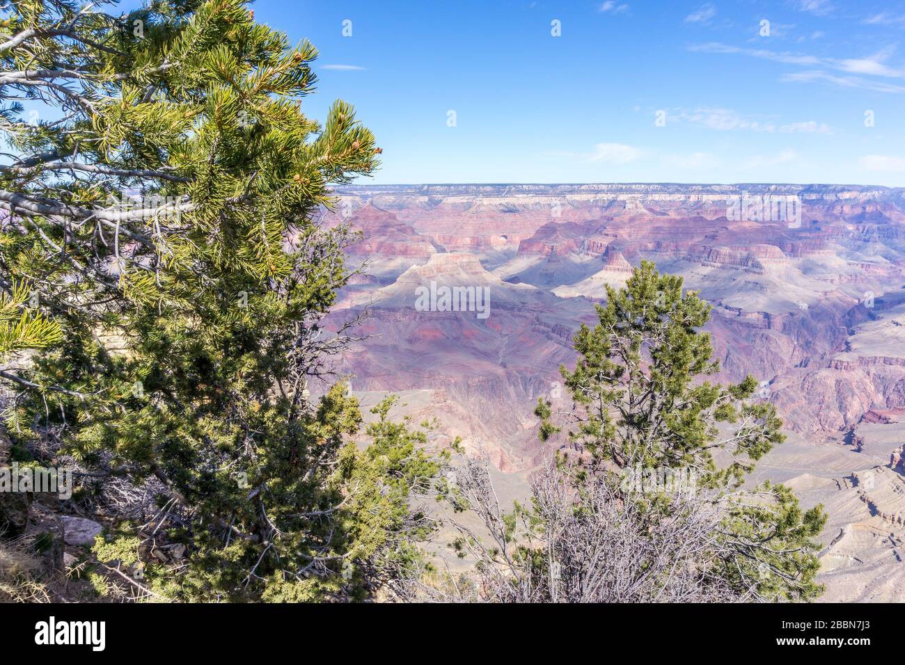 View of the Grand Canyon from the South Rim, Arizona, USA Stock Photo ...