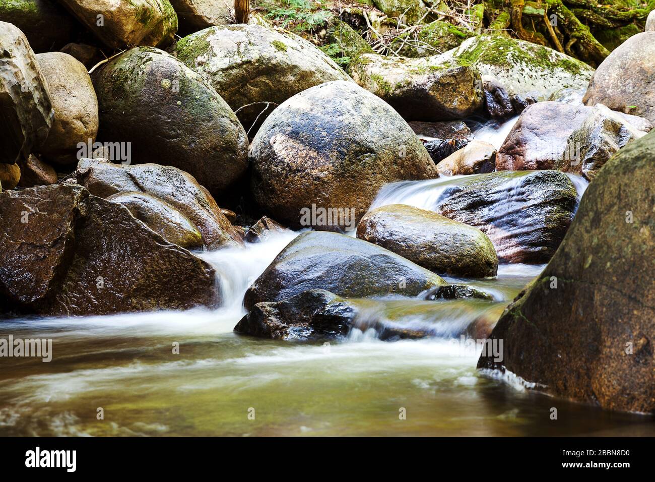 Small stream in the forest in Quebec Stock Photo - Alamy