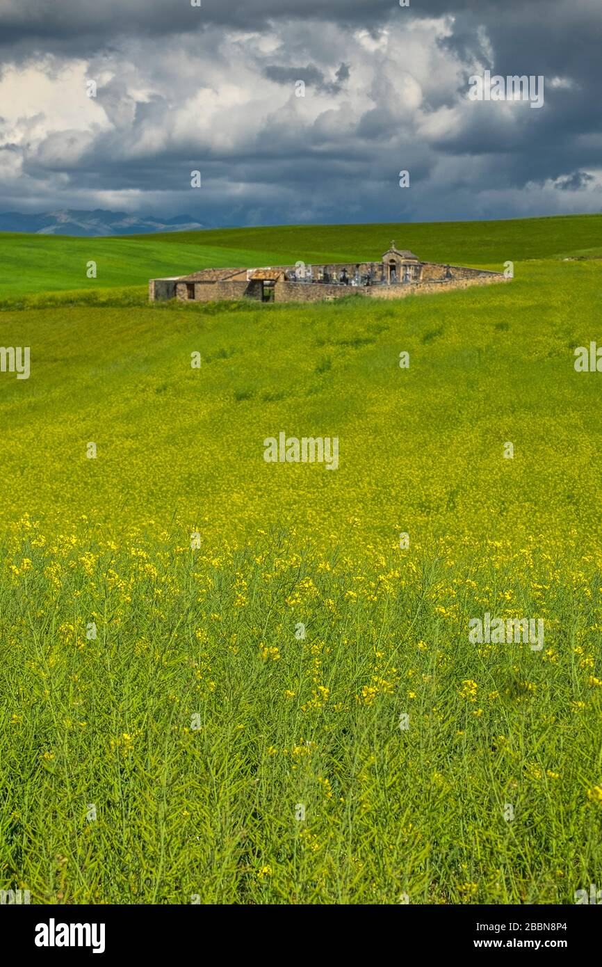 Guadalajara province fields in spring. Spain Stock Photo - Alamy