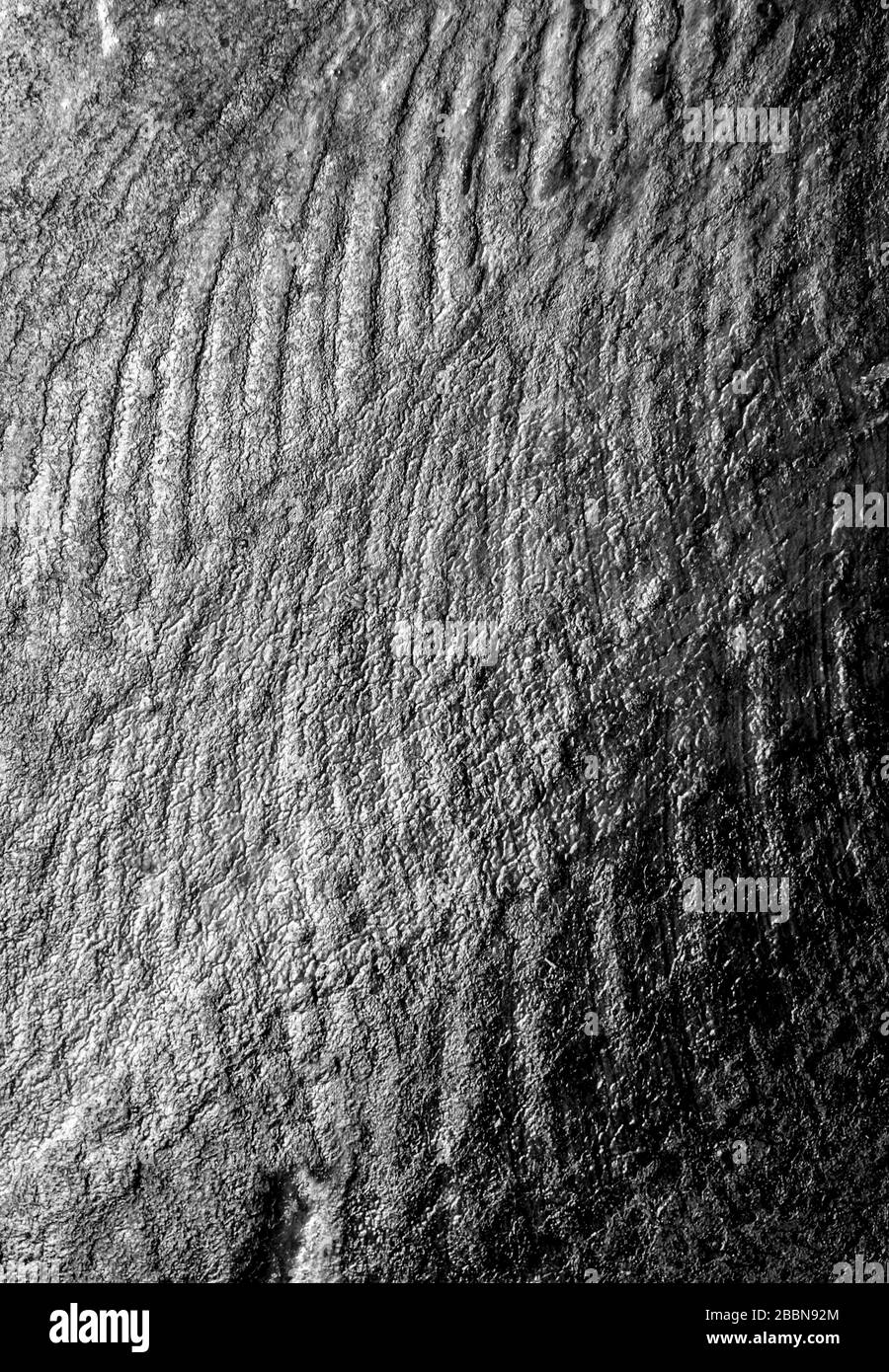 Detail of old stump surface , wood texture Stock Photo - Alamy